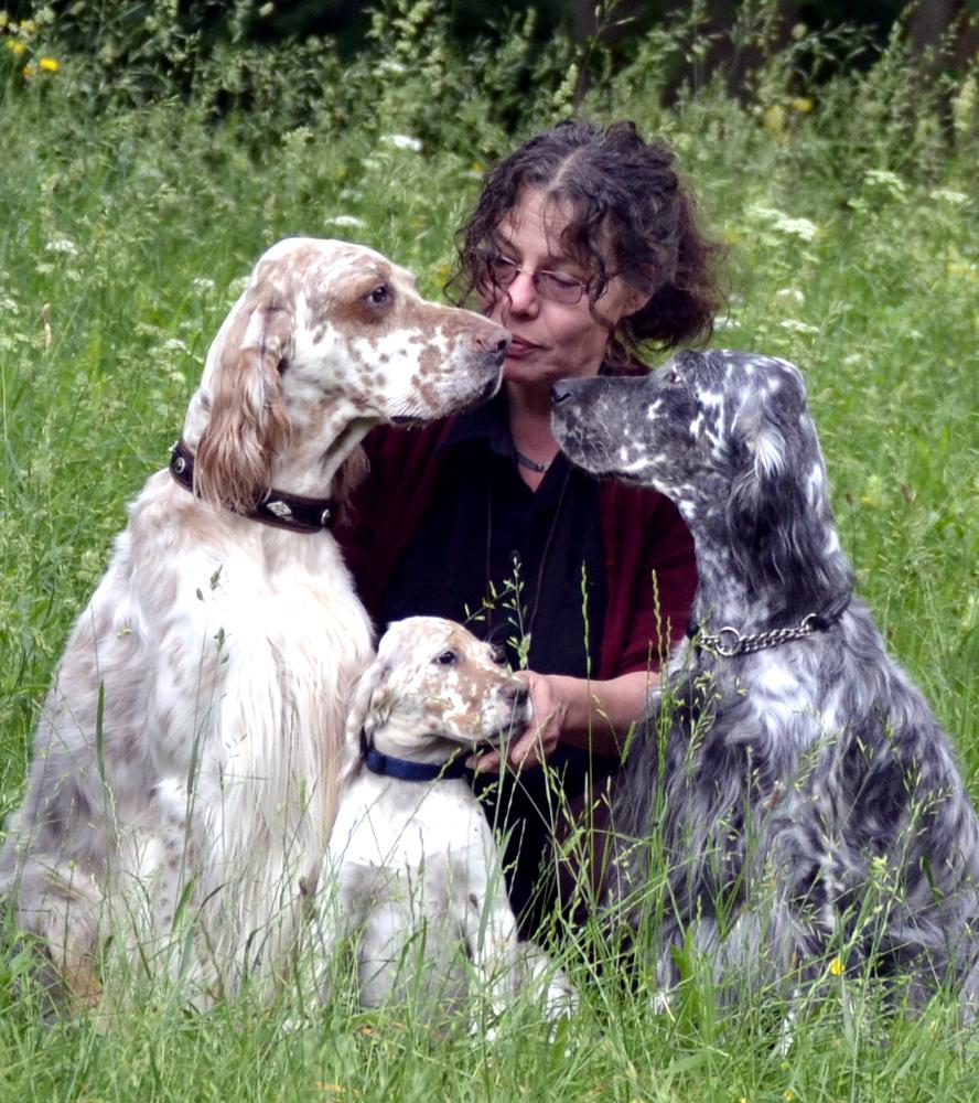 Guldegg English Setter Frame_cover