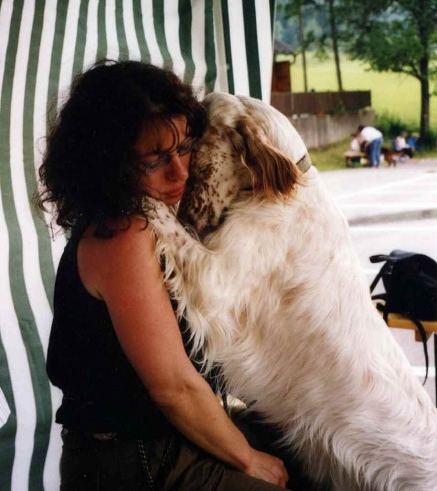 Guldegg English Setter Frame_cover